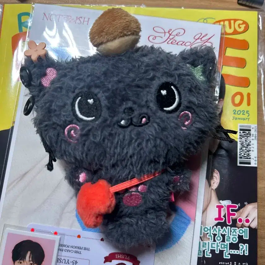 [BUNJANG] Nct Wish Kuri Riku doll/ 급처 급전 엔시티위시 쿠리 리쿠인형 – HALLYUSUPERSTORE