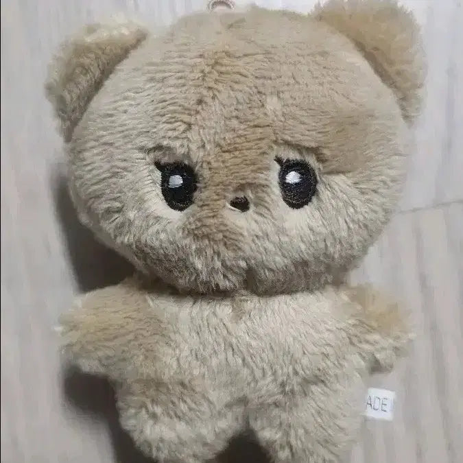 [BUNJANG] Astro eunwoo unofficial doll Chagom/ 아스트로 차은우 비공식인형 차곰이 ...