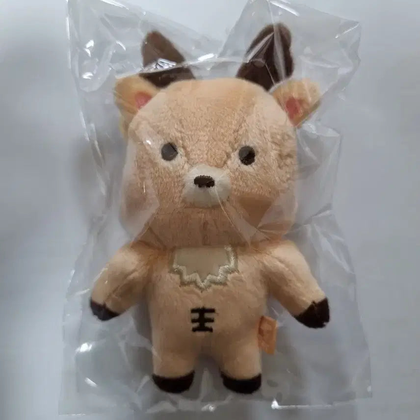 [BUNJANG] Sealed 1st Generation Urakbam Riize Sungchan 10cm Doll Valen ...