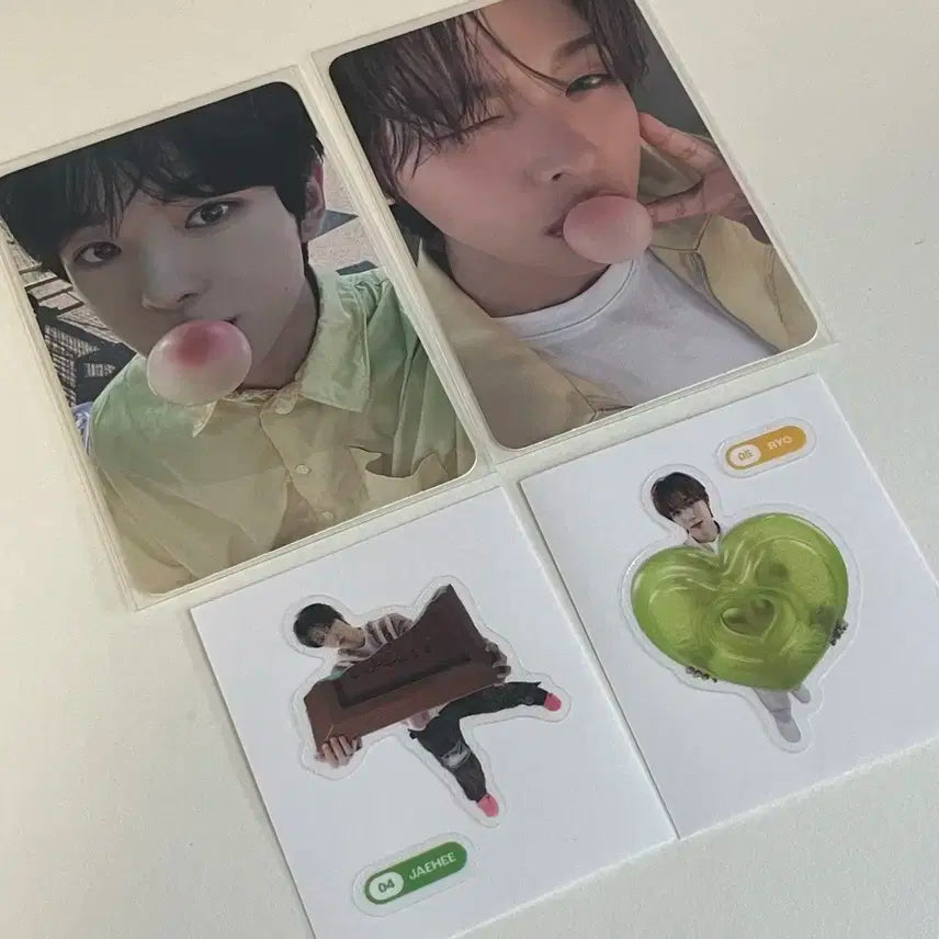 [BUNJANG] Nct Wish Pop Pop Chuu Riku Yushi Poca Ryo Jaehee Ddiboo Seal ...