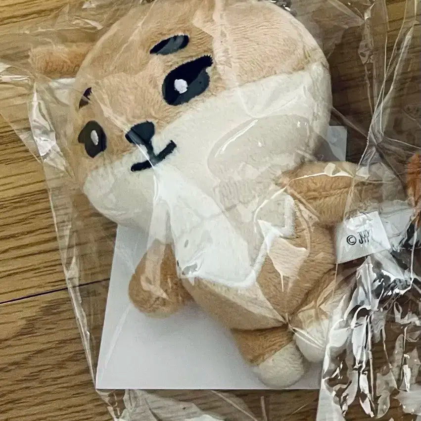 [BUNJANG] Dey Six Bag Charm K / 데이식스 백참 케 – HALLYUSUPERSTORE