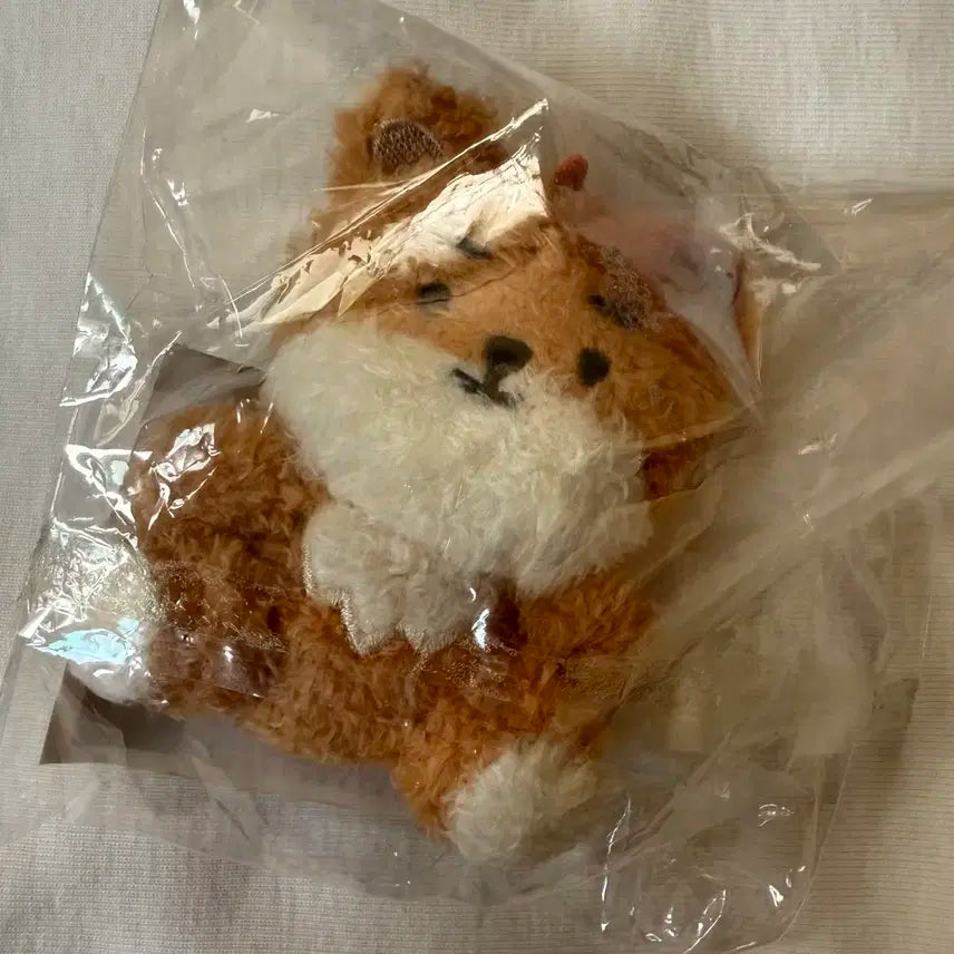 [BUNJANG] (In Stock) Dey Sitting Doll Ke / (현물) 데이식스 앉은 인형 케 ...