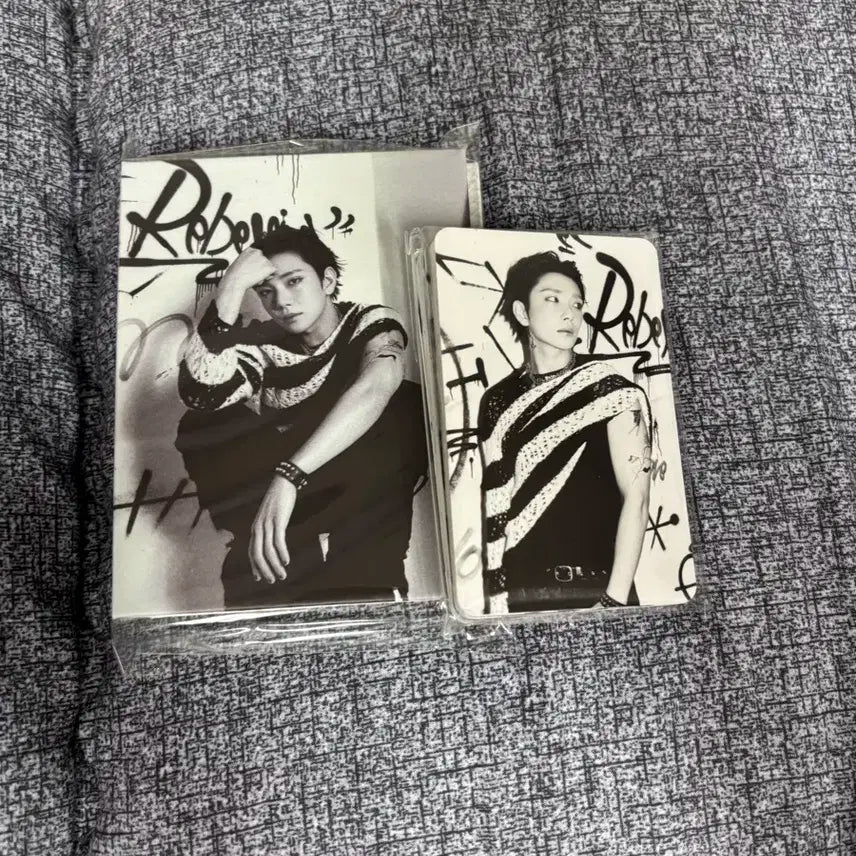 [BUNJANG] Seventeen happyburstday Carat vahn joshua binder / 세븐틴 happy ...