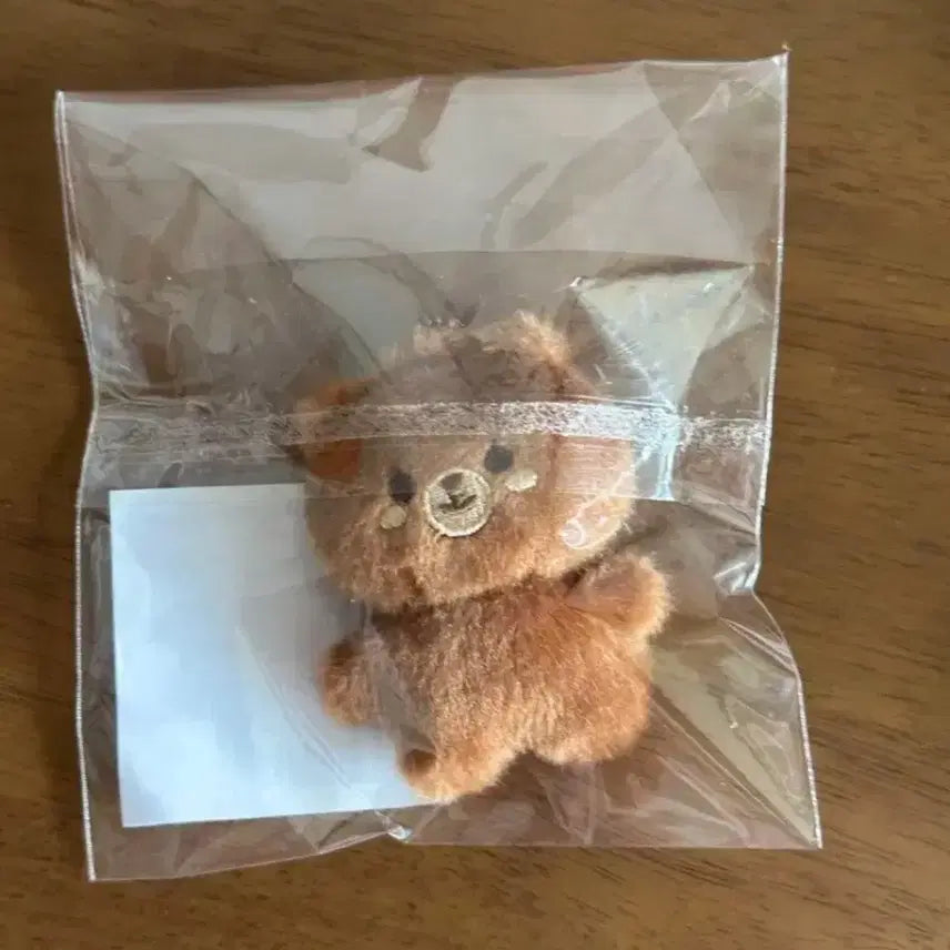 [BUNJANG] Dey Six Bbeuppeumeol Room / 데이식스 쁘쁘멀 방 – HALLYUSUPERSTORE