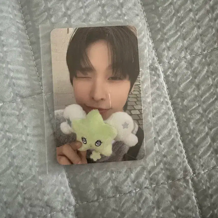 [BUNJANG] Riku Chuu Poca / 리쿠 위츄 포카 – HALLYUSUPERSTORE