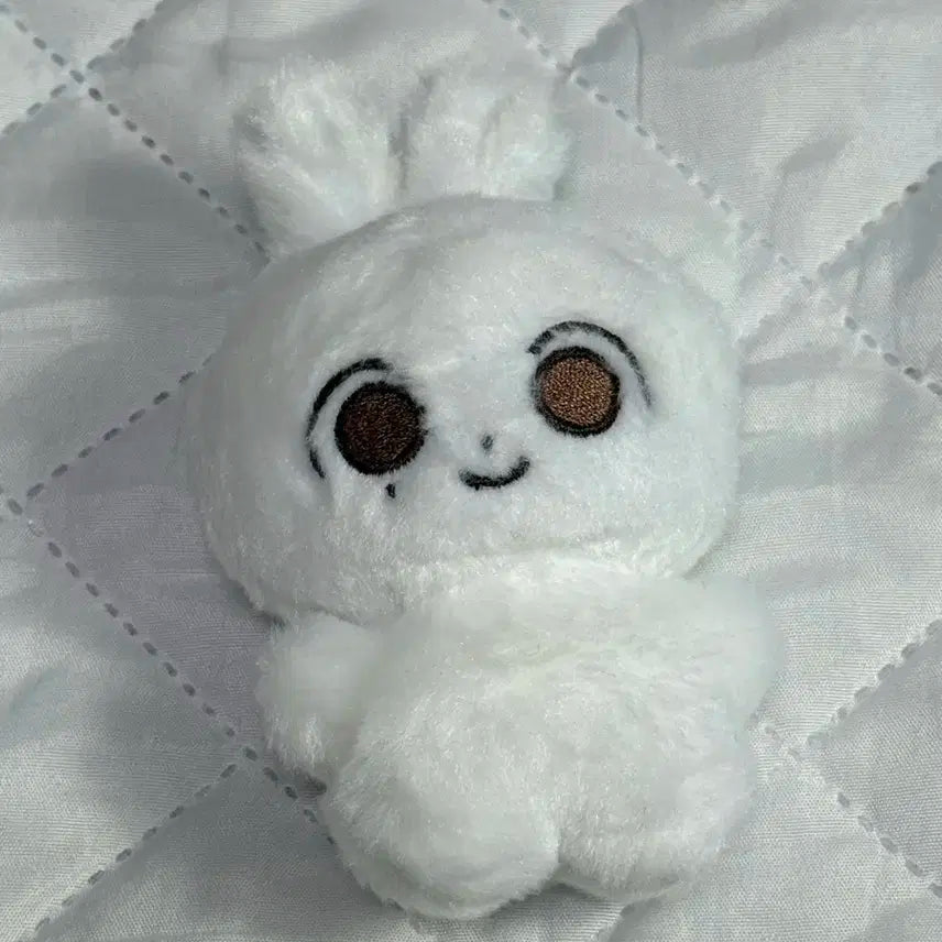 세븐틴 정한 말랑방앗간 쫑모찌 – HALLYUSUPERSTORE