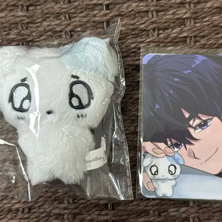 플레이브 인형 플부땅 쭈니땅 – HALLYUSUPERSTORE