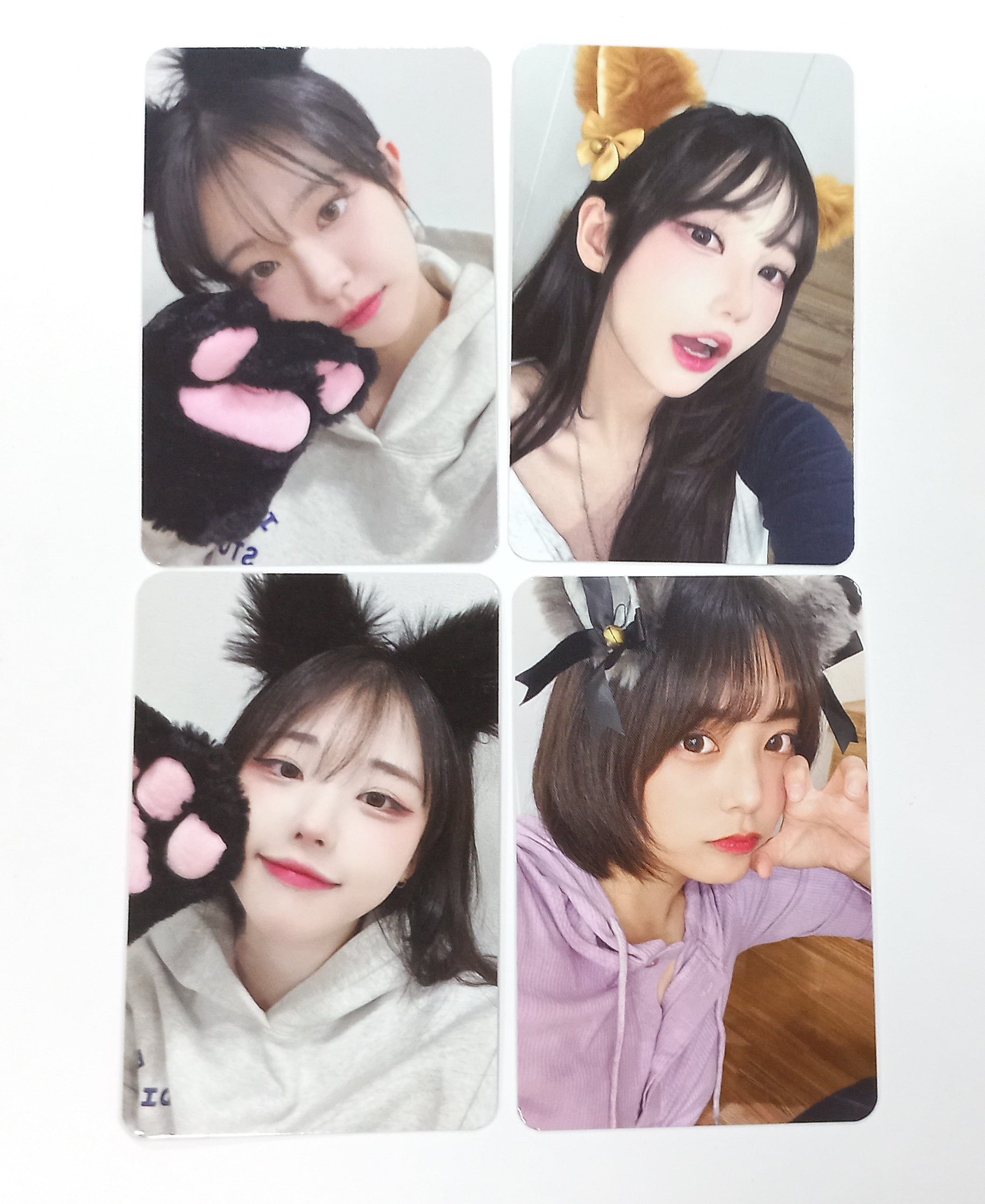 QWER "Harmony from Discord" - Makestar Fansign Event Photocard Round 2 ...